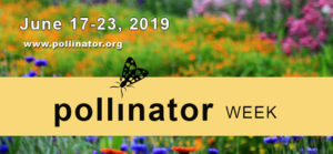 National Pollinator Week set for June | Pest Management Professional