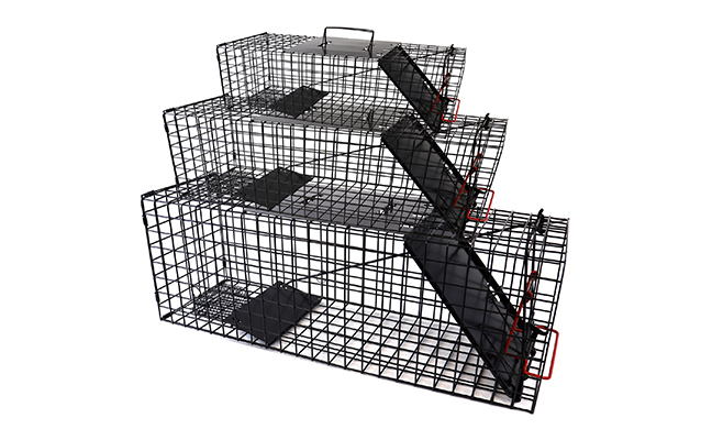 699_CageTraps_648.jpg