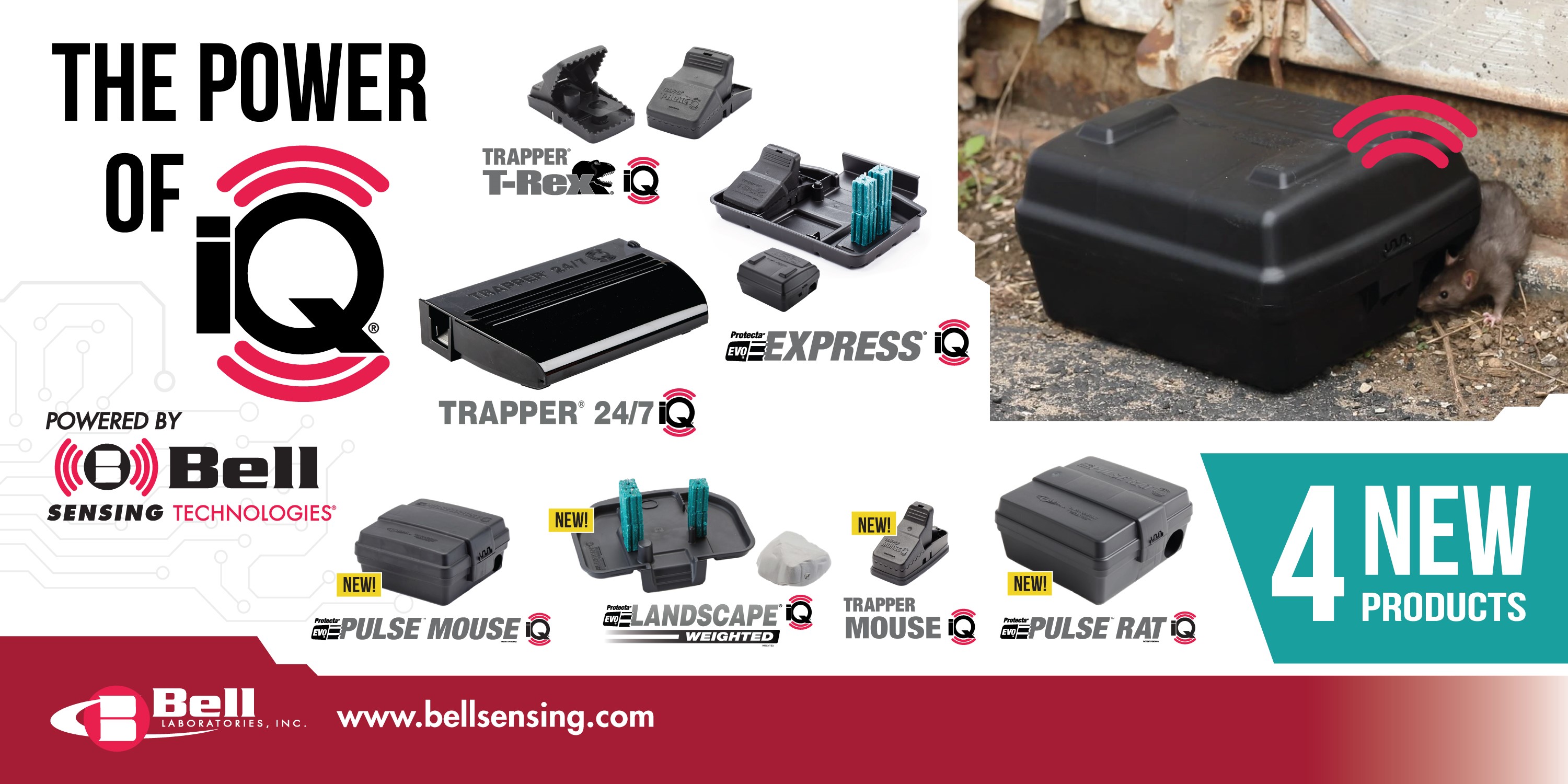 Pest Management Professional