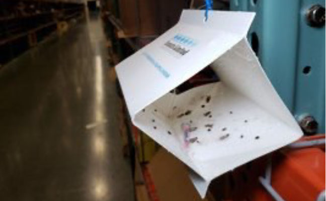 Insects Limited: PTL Multi-Species NoSurvivor Kit | Pest Management ...