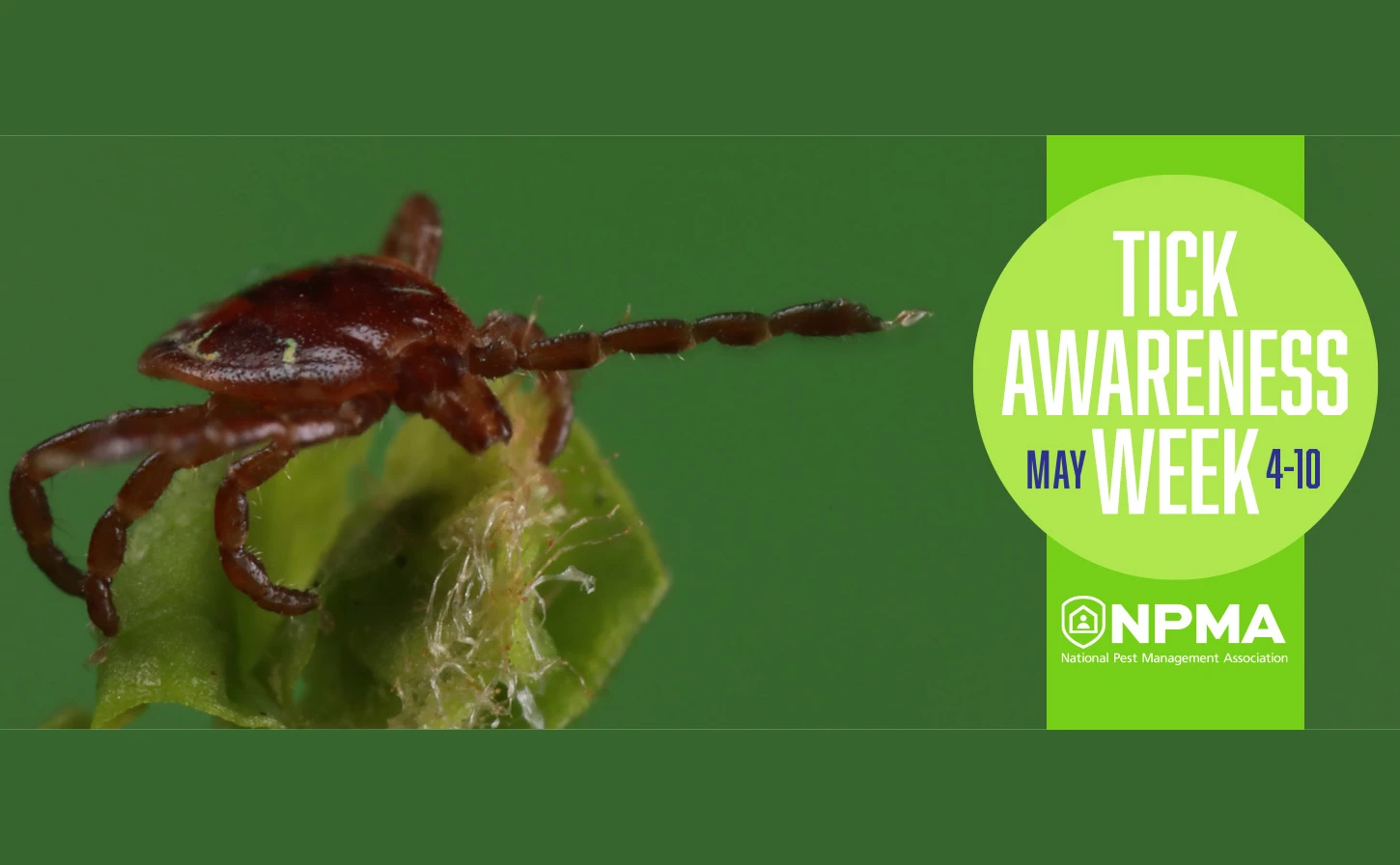 Tick Awareness Week aims to educate public on prevention and risks ...