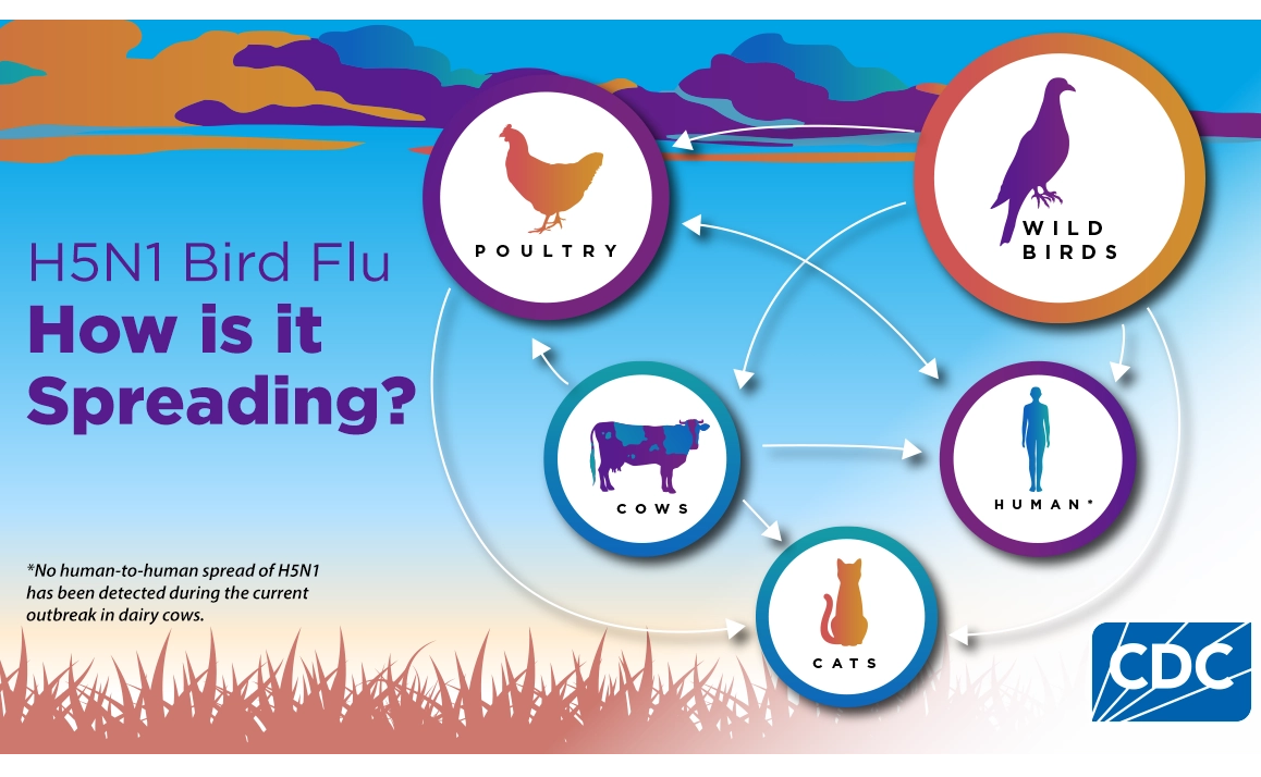 Be mindful of the occupational hazard of bird flu | Pest Management ...